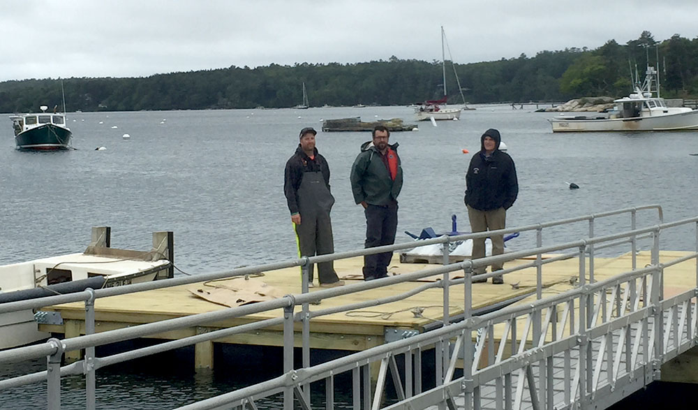 Our new docks are in! - Boothbay Sea and Science Center
